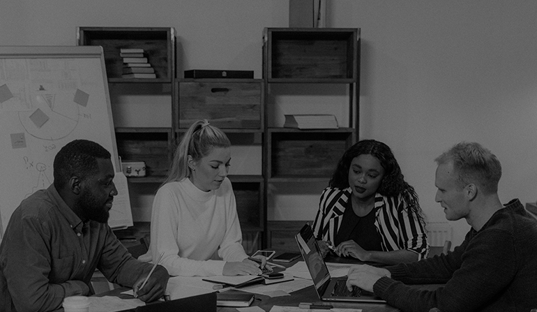 Expertise Detailed – Webloom Technologies